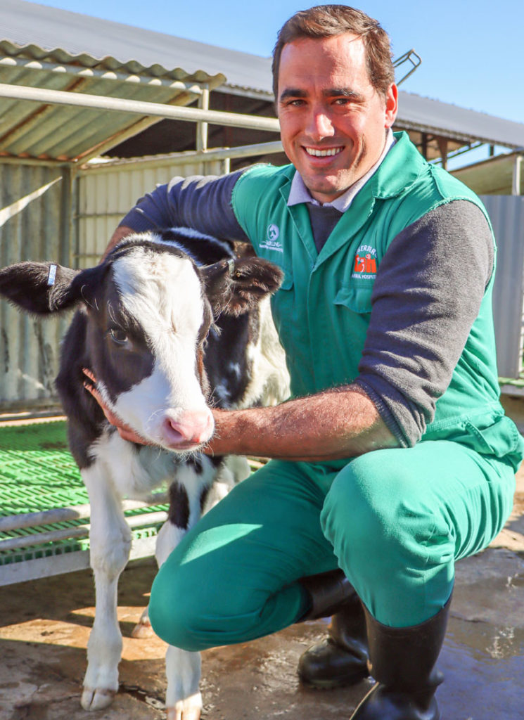 Meet the Darling Team - TAH